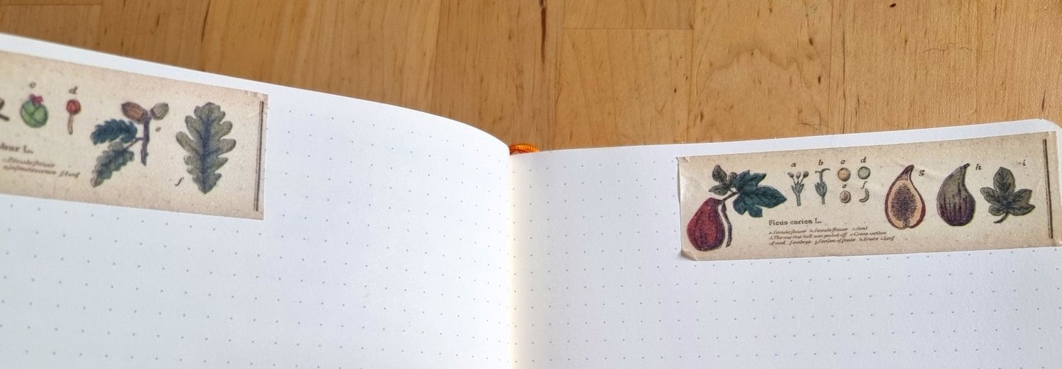 3 Ideas For Autumn Journals — Libraries and Archives Paper Company