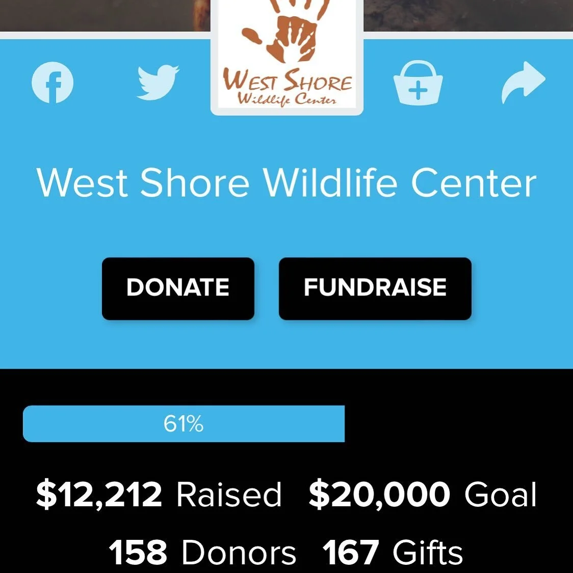 About Us — West Shore Wildlife Center