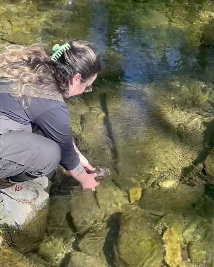 About Us — West Shore Wildlife Center