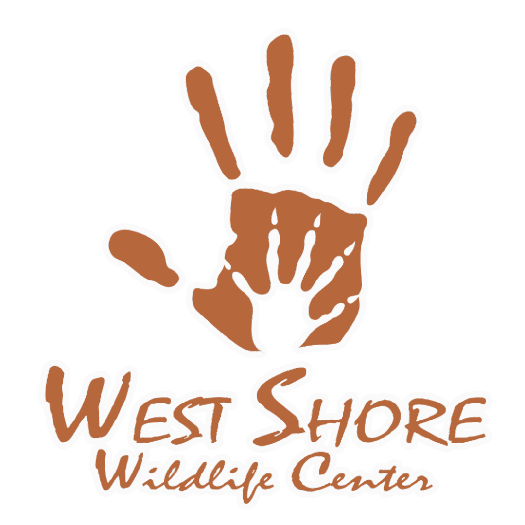 West Shore Wildlife Center