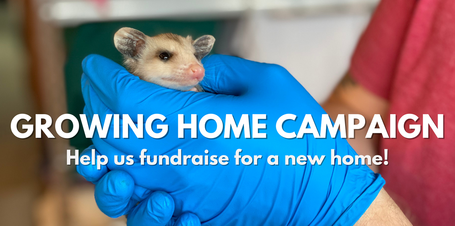 West Shore Wildlife Center