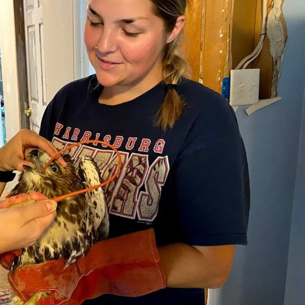 Our Team — West Shore Wildlife Center