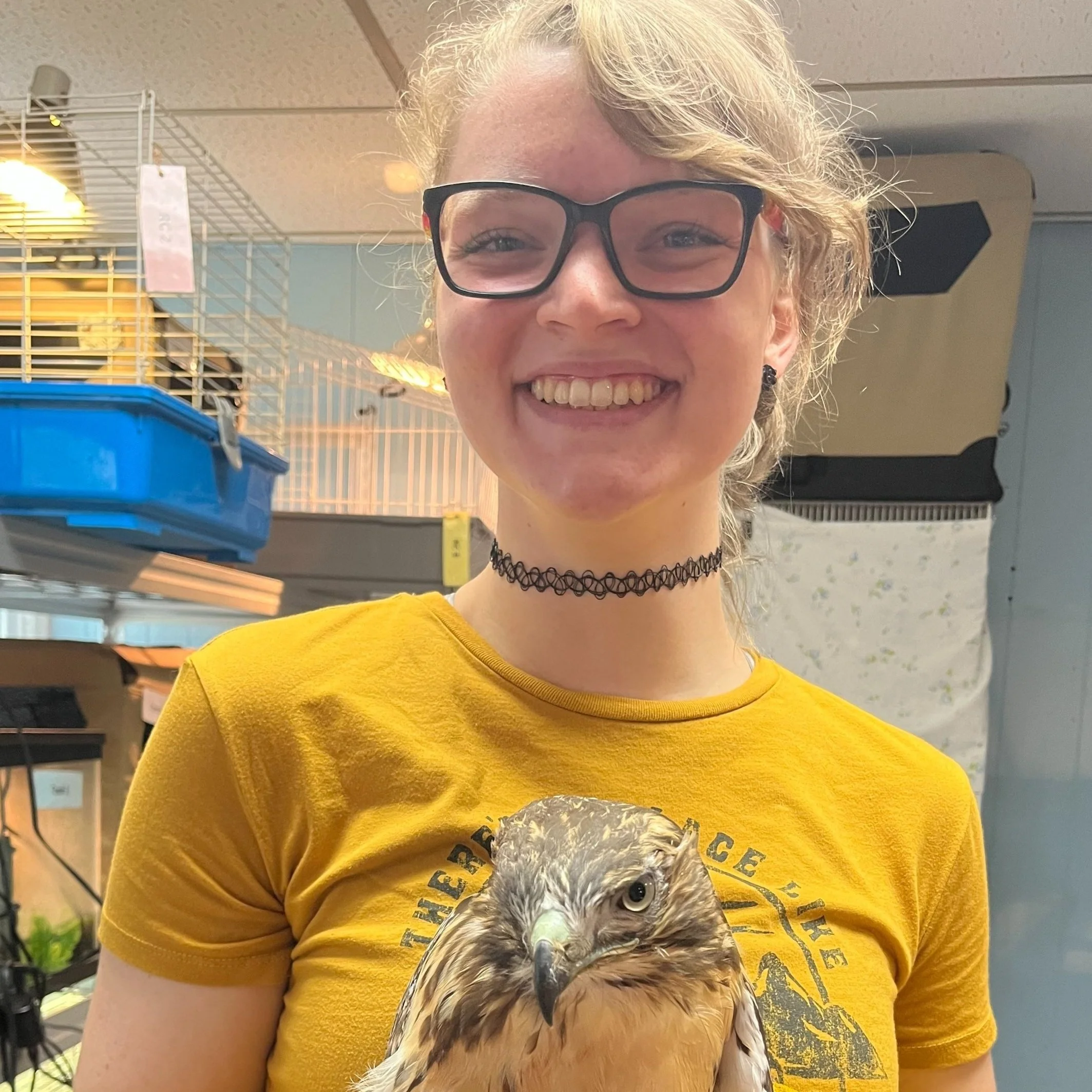 Our Team — West Shore Wildlife Center