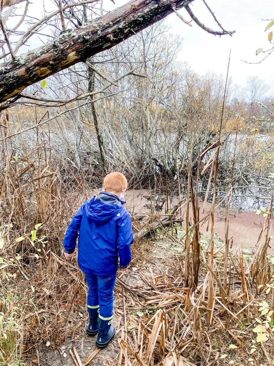 Trail Highlight: Barnstable Land Trust Conservation Center, West ...
