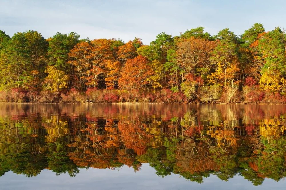 Hathaways Pond Conservation Area — Barnstable Land Trust