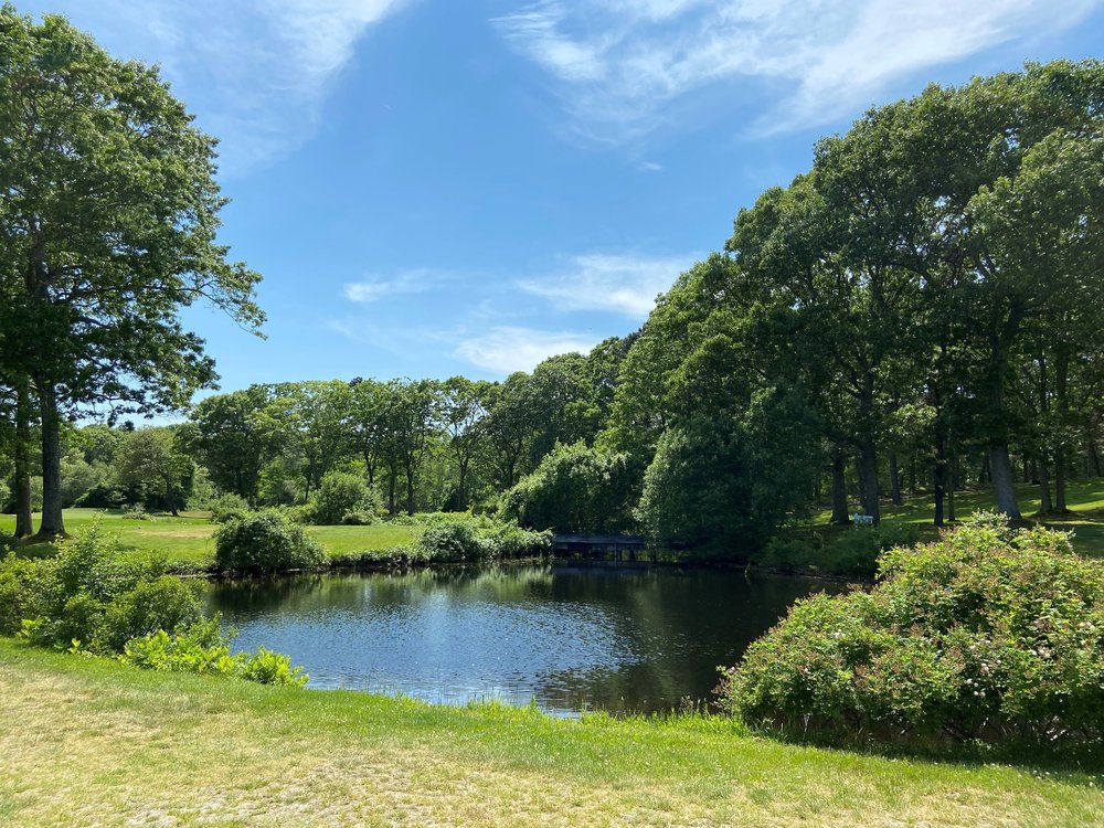 Twin Brooks — Barnstable Land Trust