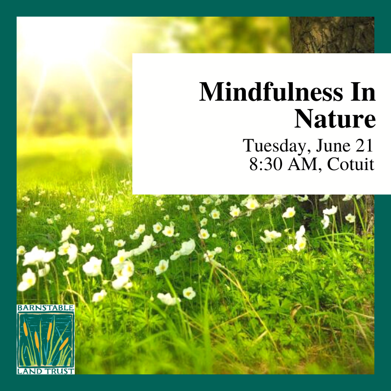 BLT Events — Barnstable Land Trust