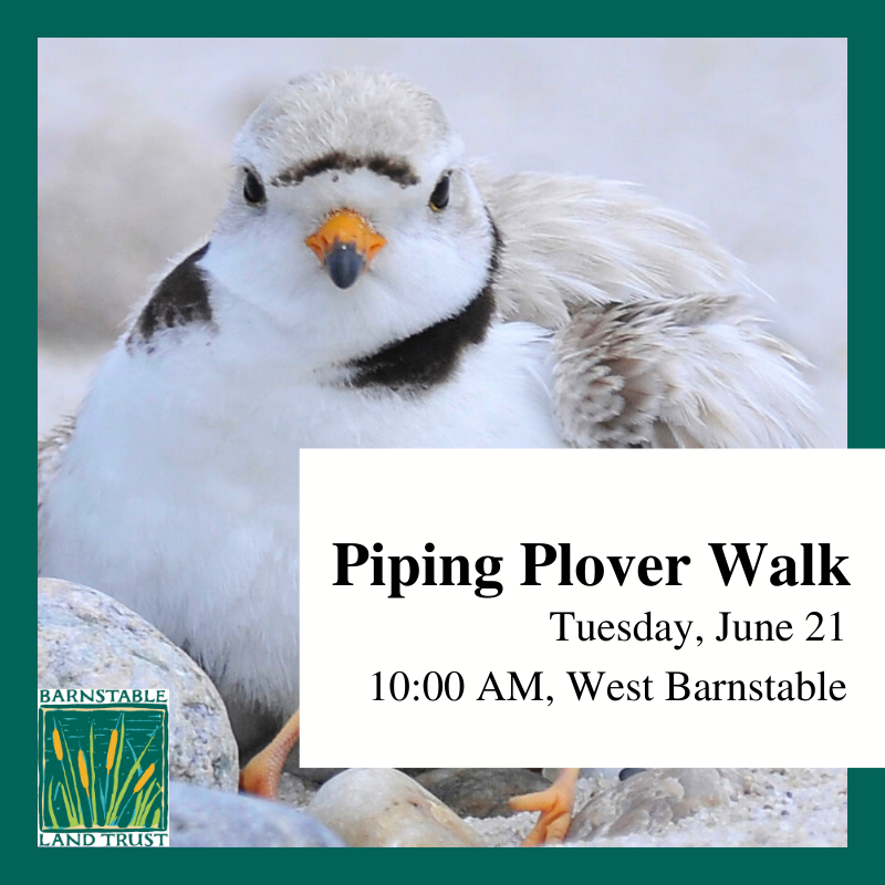 BLT Events — Barnstable Land Trust