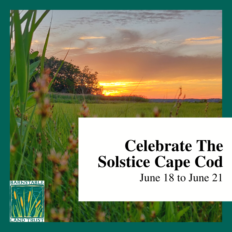 BLT Events — Barnstable Land Trust