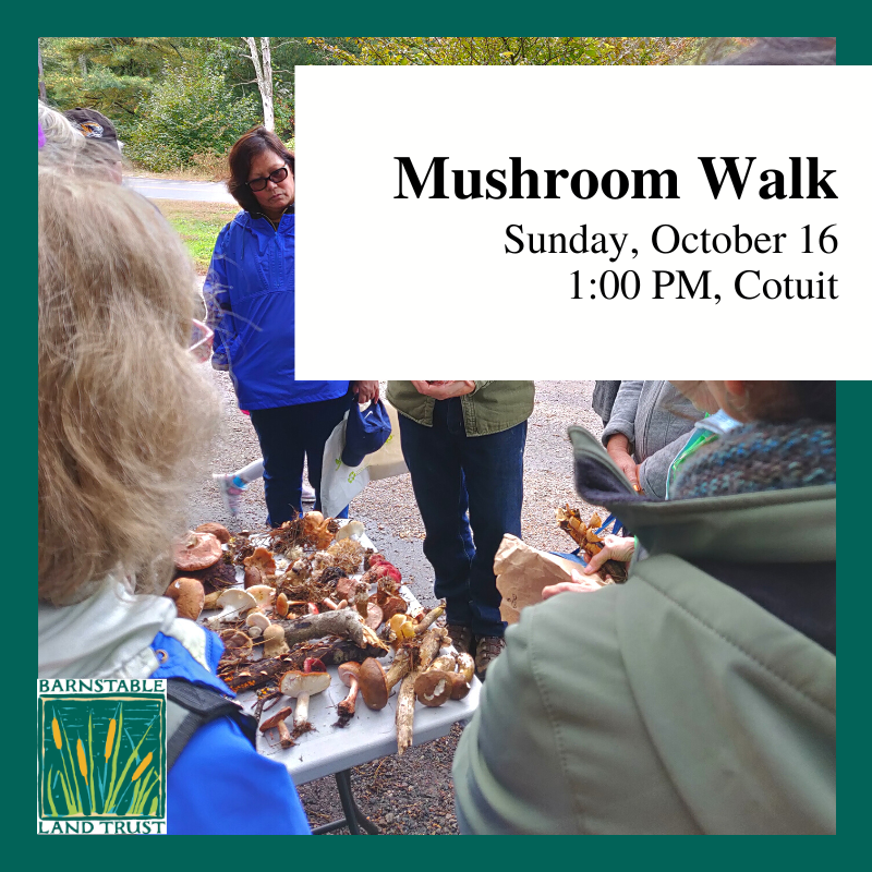 BLT Events — Barnstable Land Trust