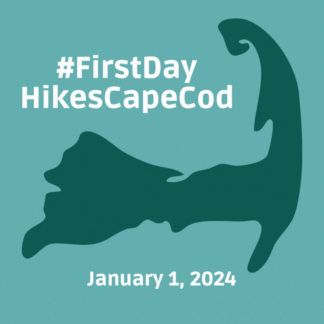 First Day Hikes Cape Cod — Barnstable Land Trust