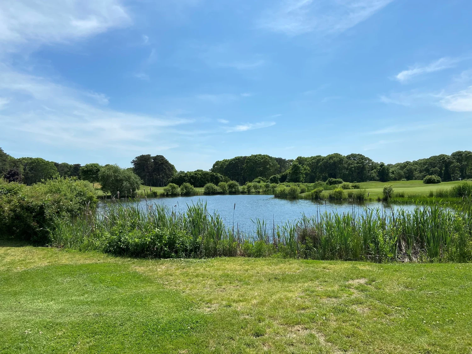 Twin Brooks — Barnstable Land Trust