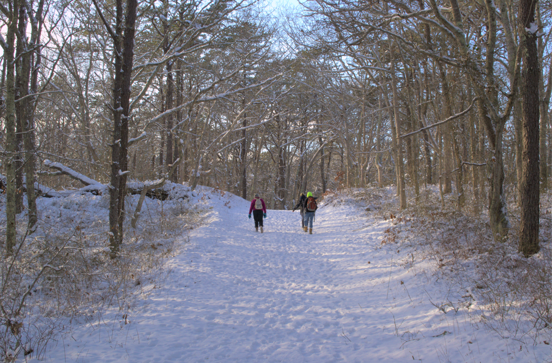 First Day Hikes Cape Cod — Barnstable Land Trust