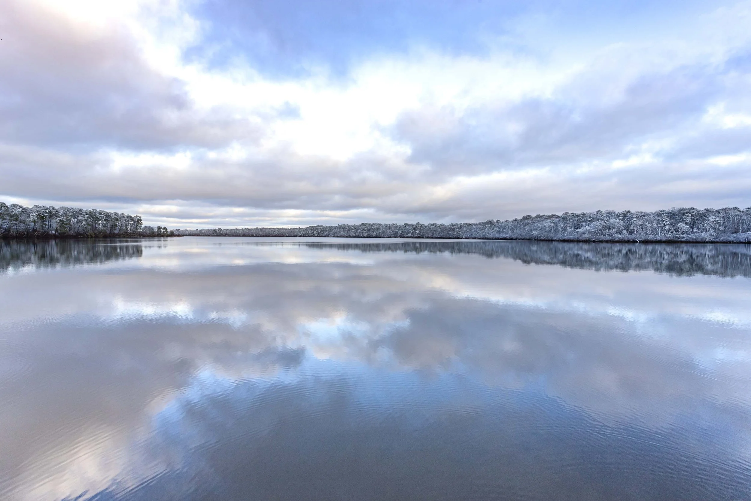 First Day Hikes Cape Cod — Barnstable Land Trust