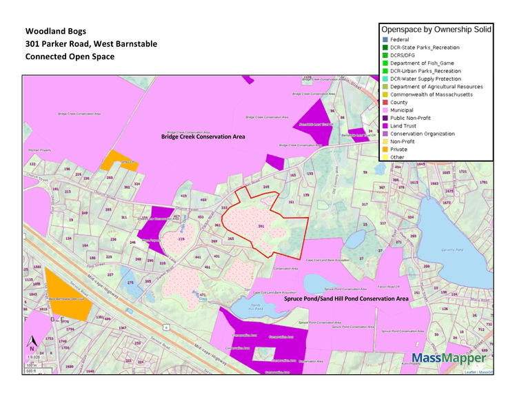 Woodland Bog — Barnstable Land Trust