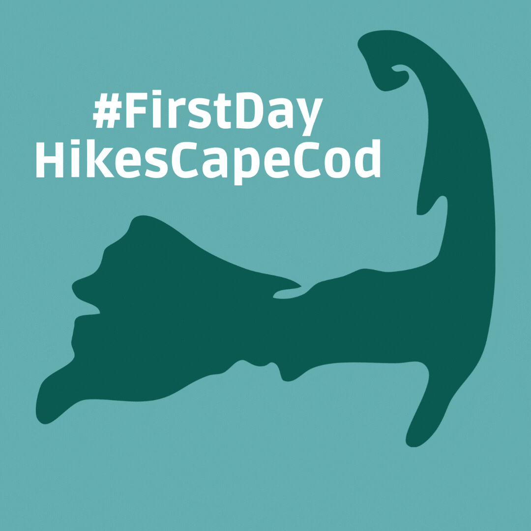 First Day Hikes Cape Cod — Barnstable Land Trust