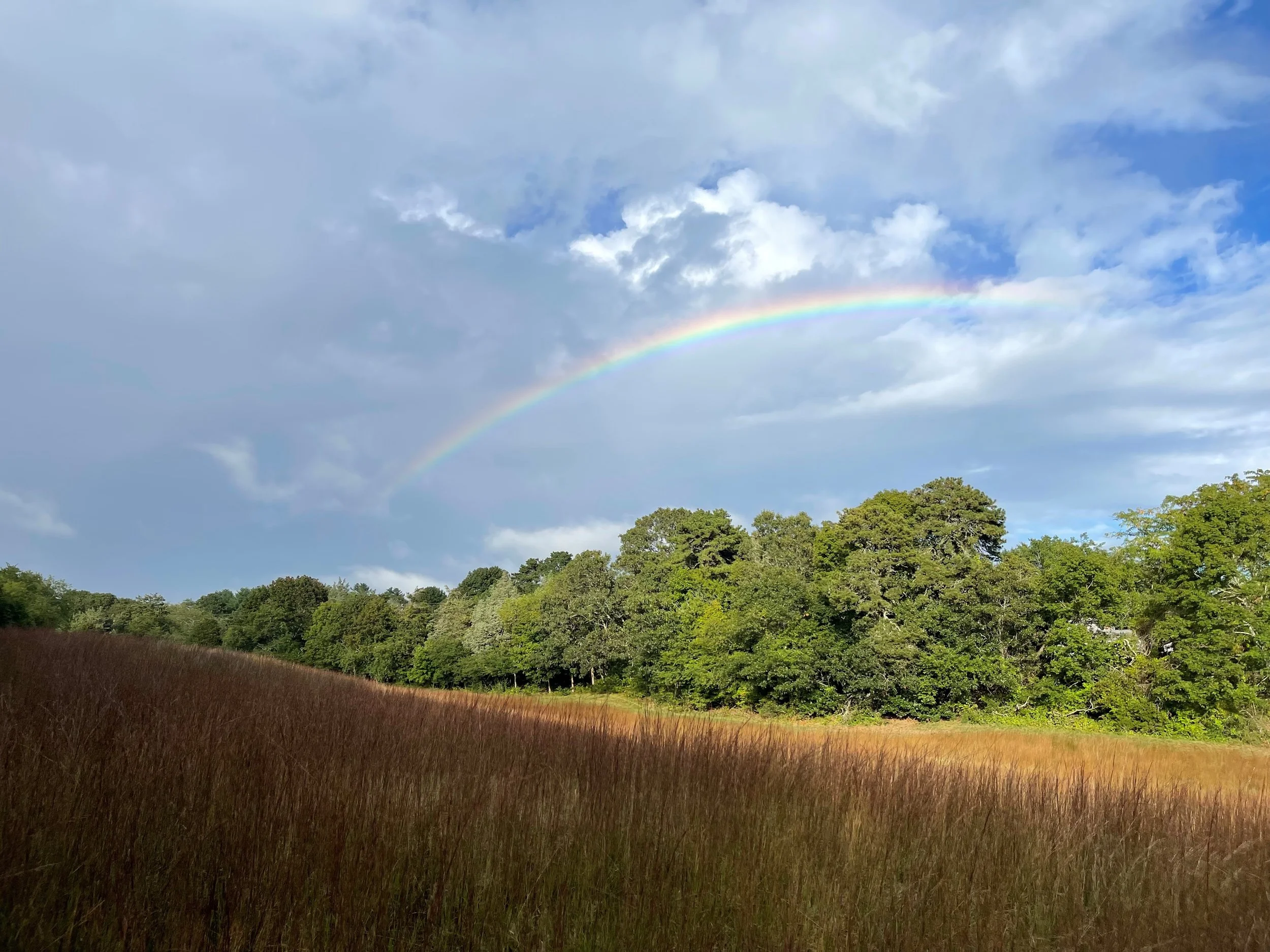 Submit Photos — Barnstable Land Trust