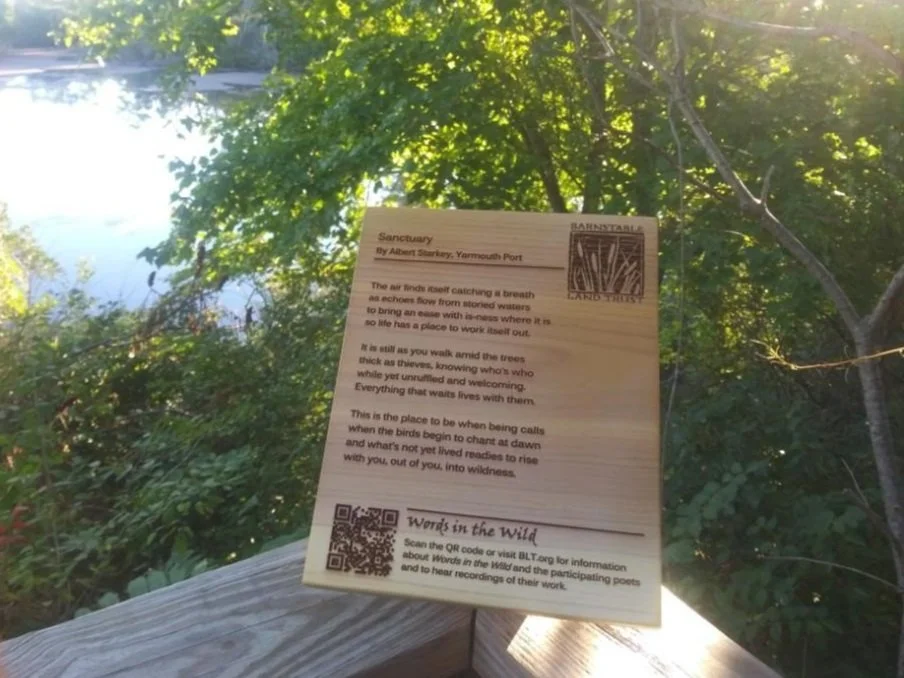 Words in the Wild 2023 — Barnstable Land Trust