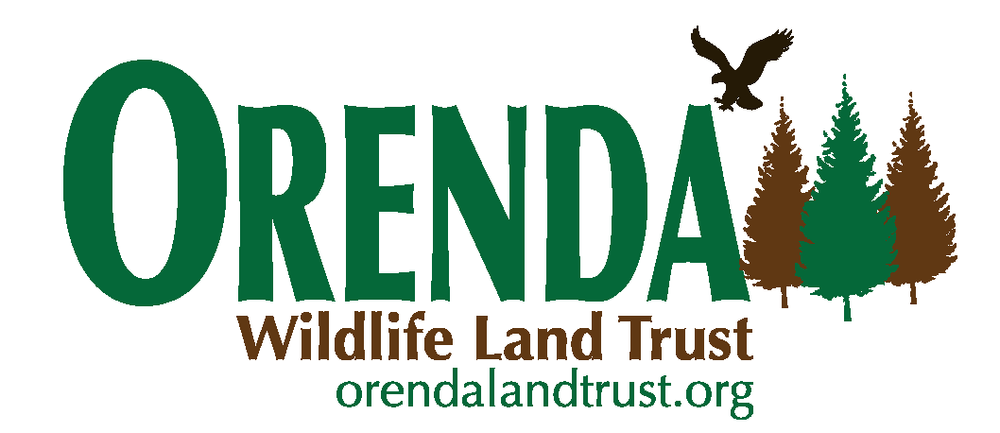 First Day Hikes Cape Cod — Barnstable Land Trust