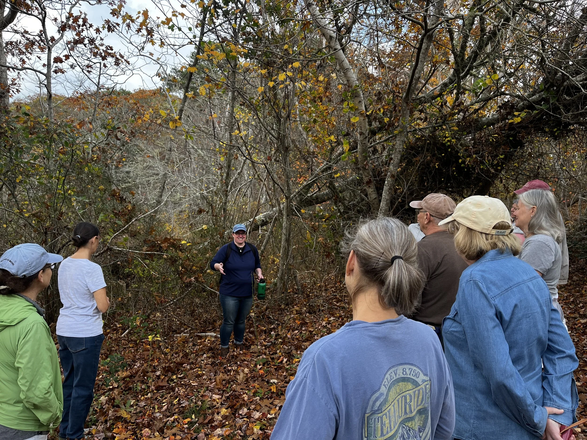 First Day Hikes Cape Cod — Barnstable Land Trust