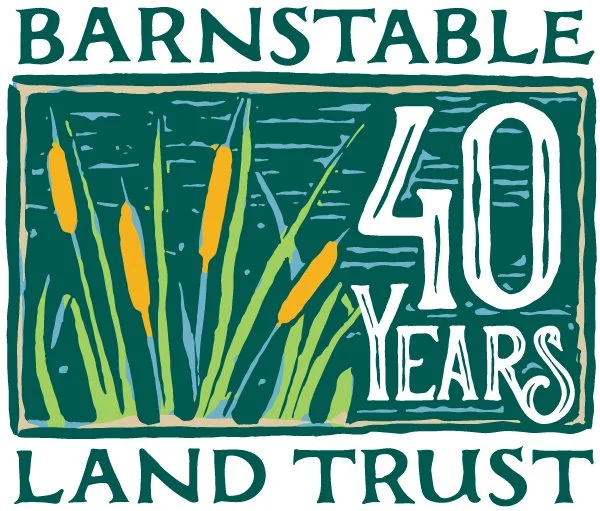 First Day Hikes Cape Cod — Barnstable Land Trust