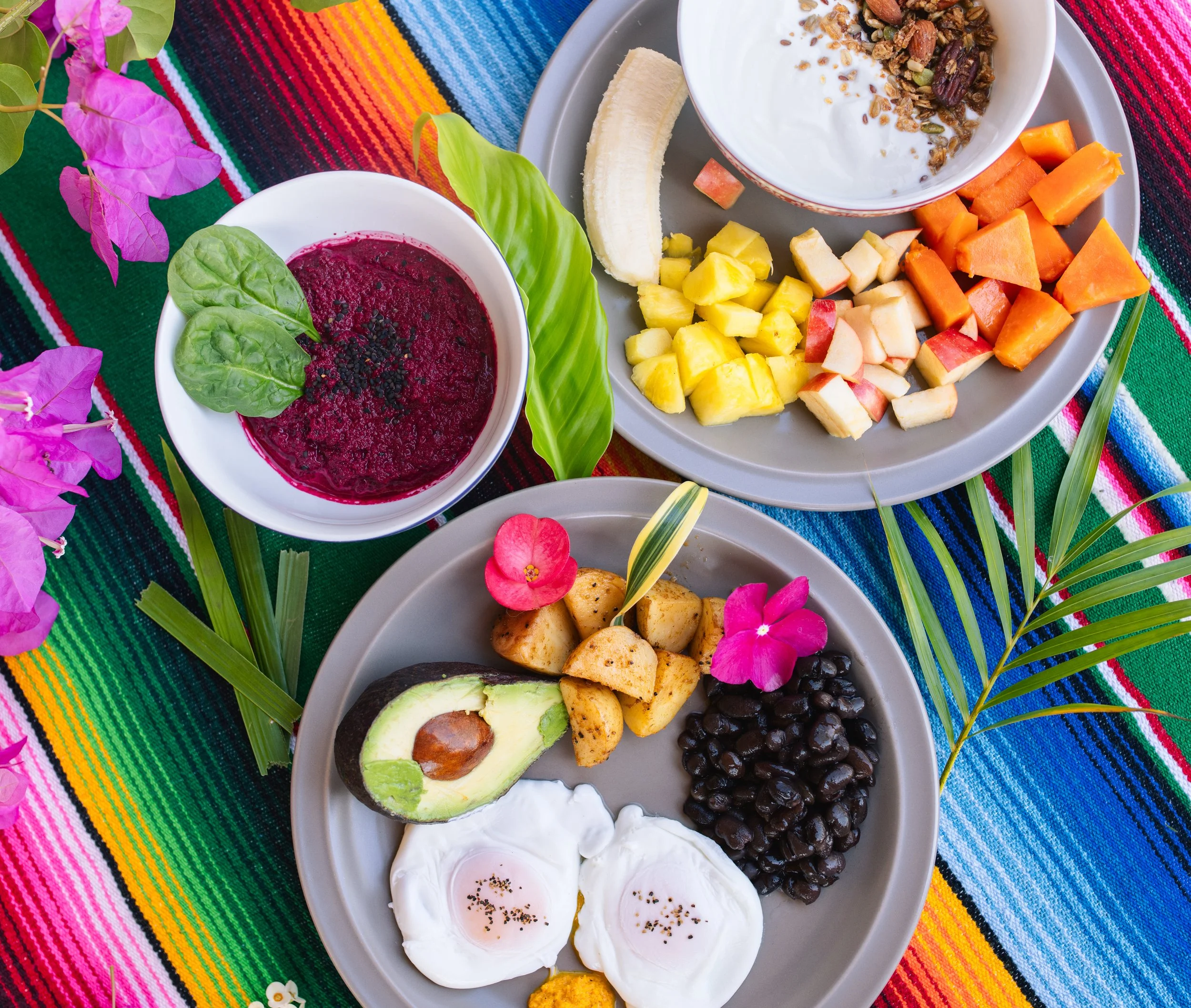 Overview of our Retreats — Pura Vida Wellness Retreats