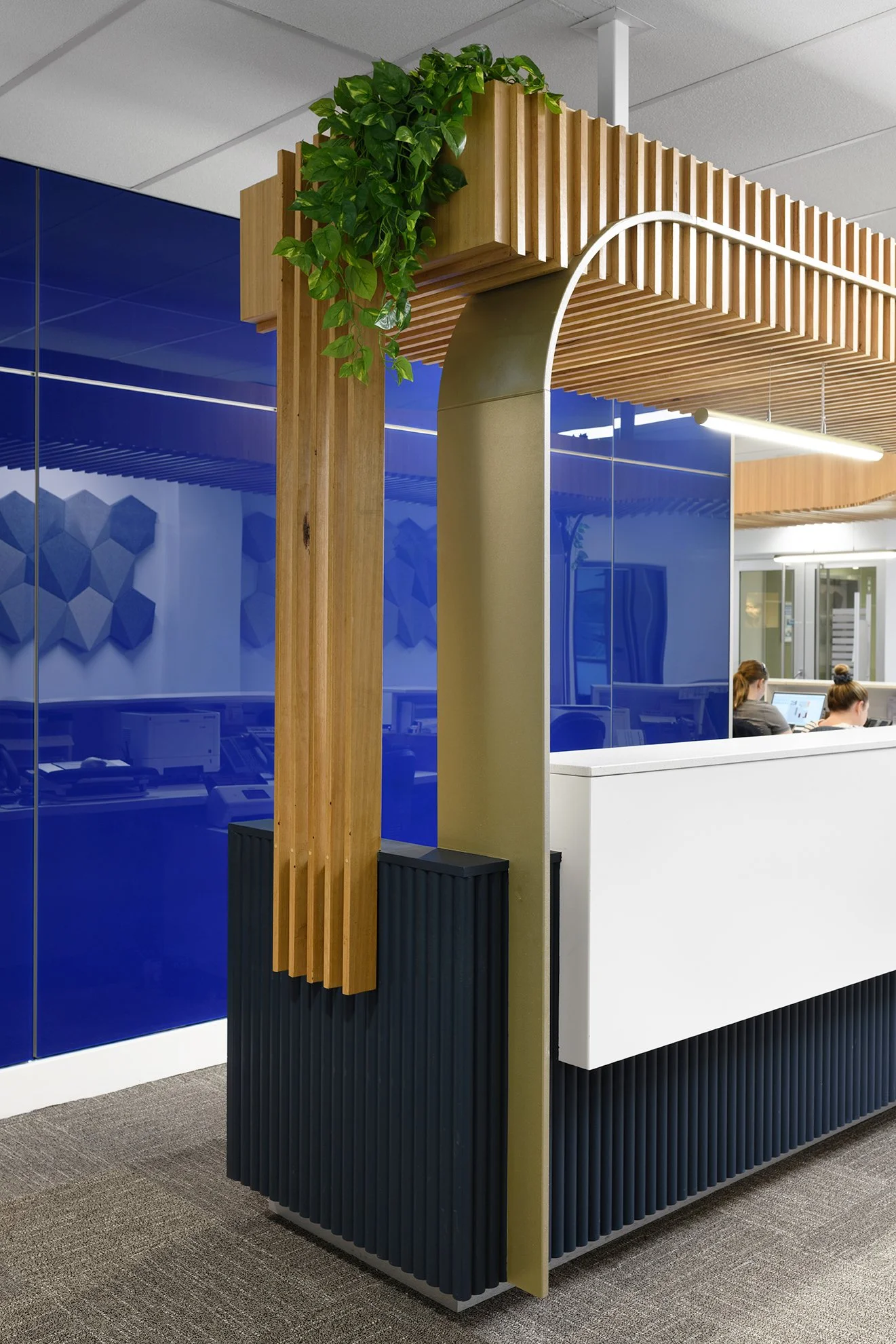 Clinic Design Brisbane Doctors medical rooms orthopaedics specialist ...