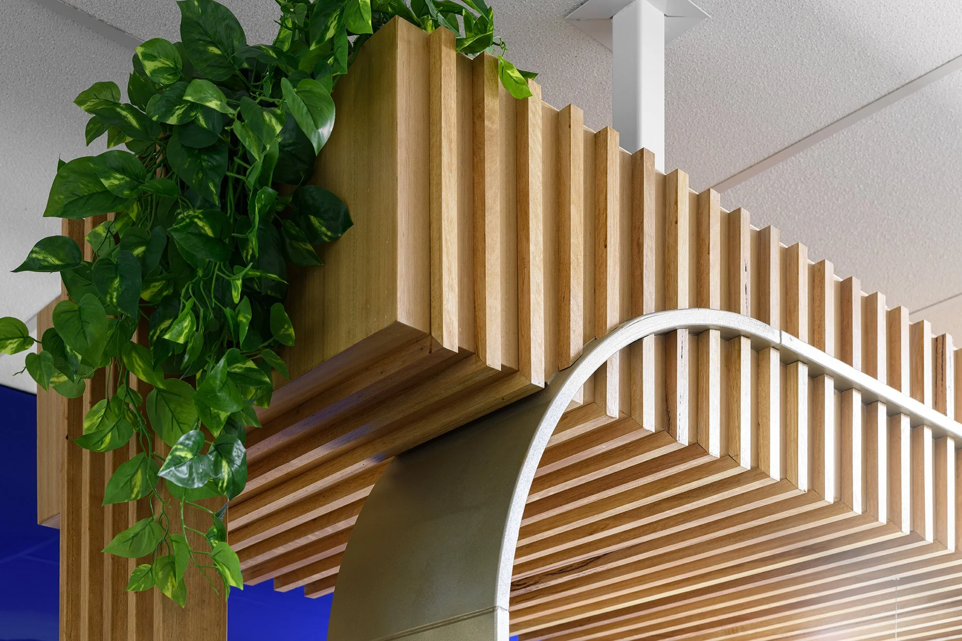 Clinic Design Brisbane Doctors medical rooms orthopaedics specialist ...