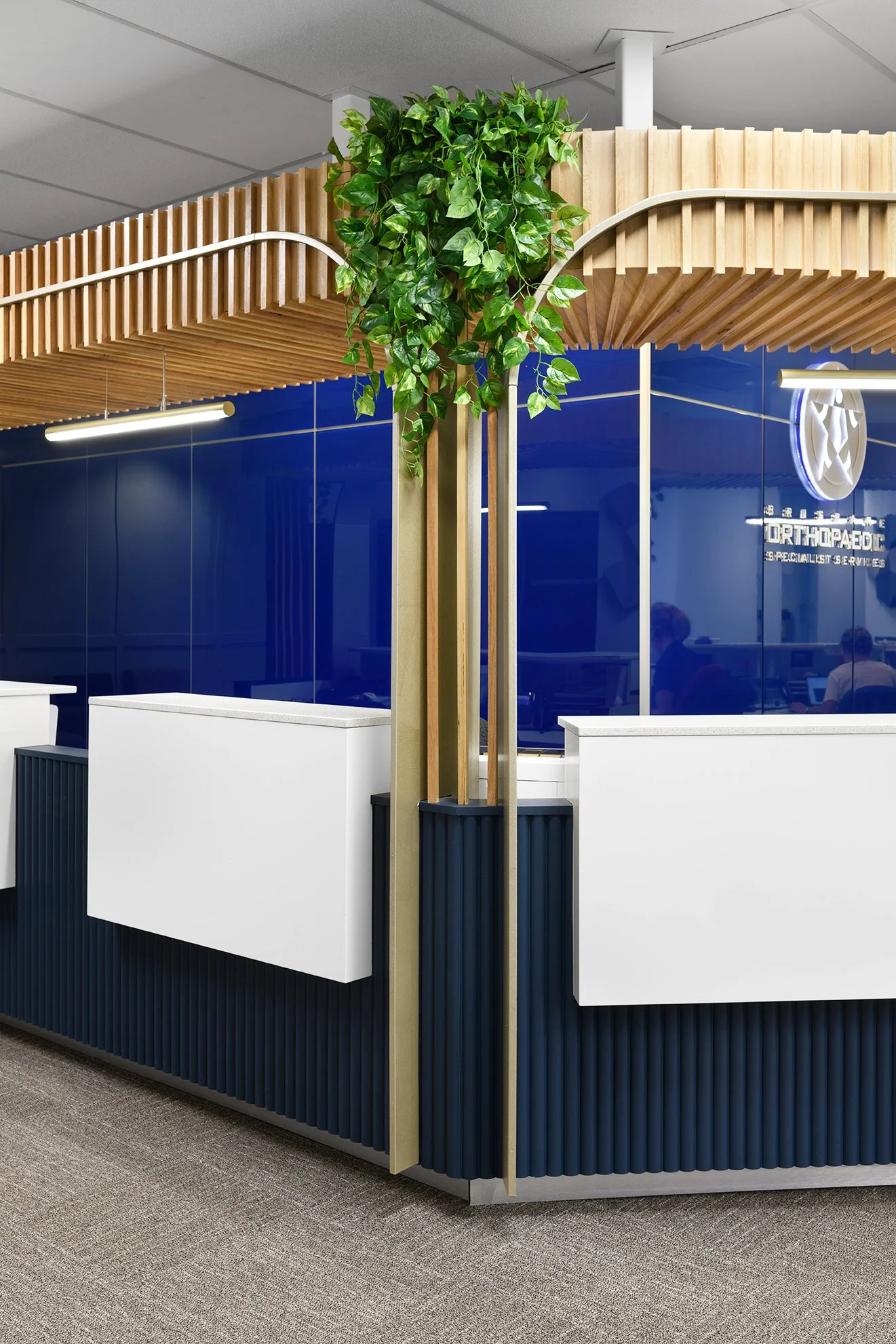 Clinic Design Brisbane Doctors medical rooms orthopaedics specialist ...