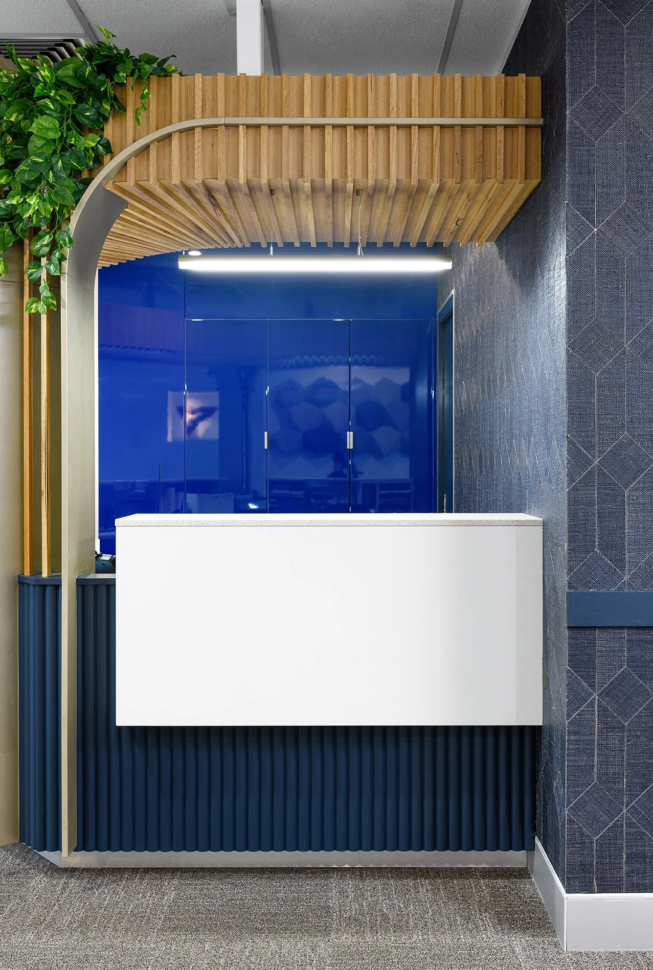 Clinic Design Brisbane Doctors medical rooms orthopaedics specialist ...