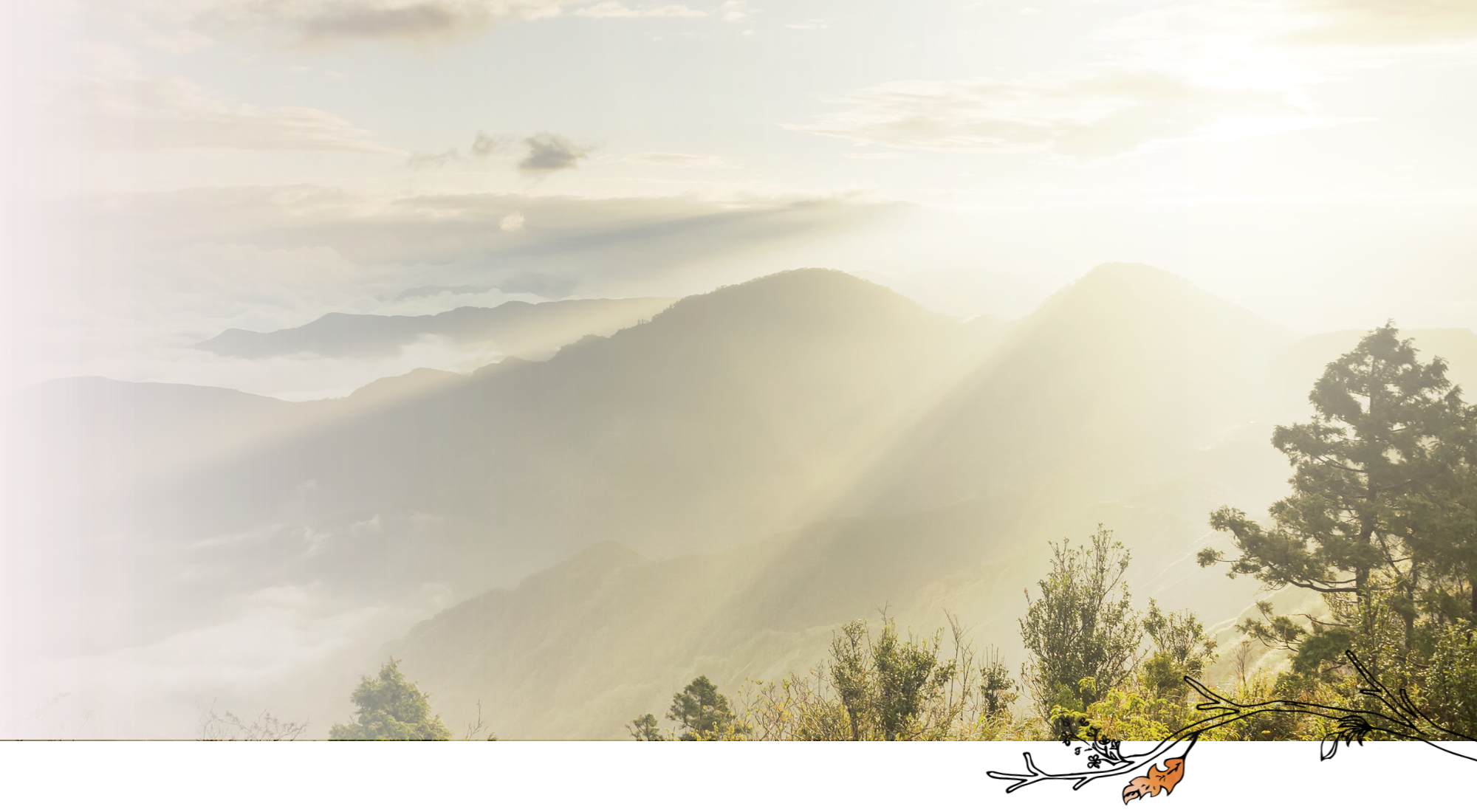 Grief. You Have Options | Online Courses — Comfort For The Day