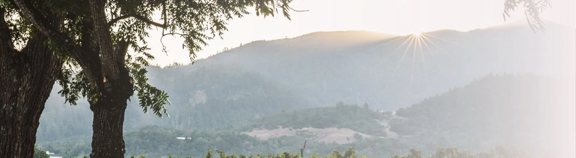 Teaming up for Grief Support — Comfort For The Day