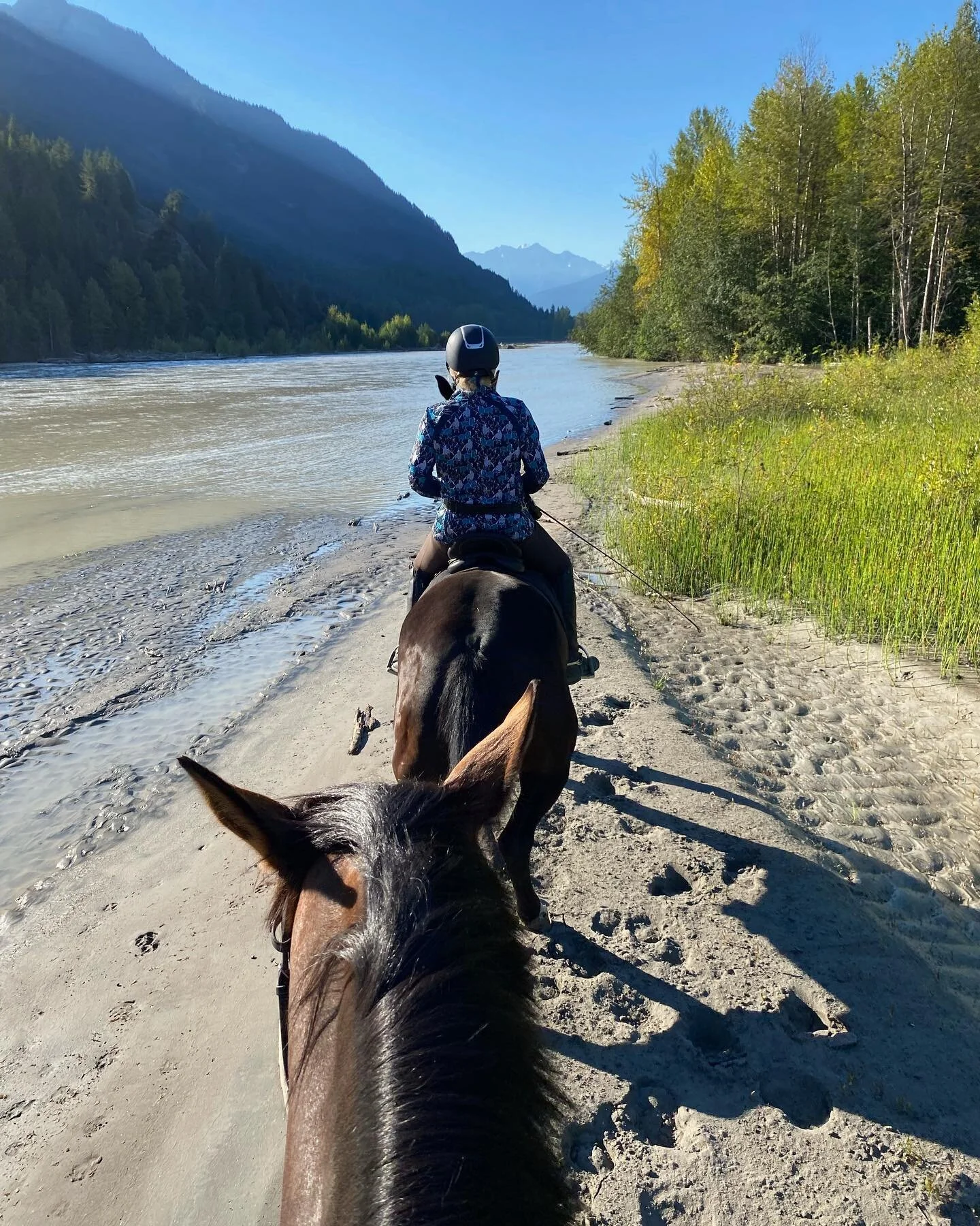Dreamcatcher Meadows
