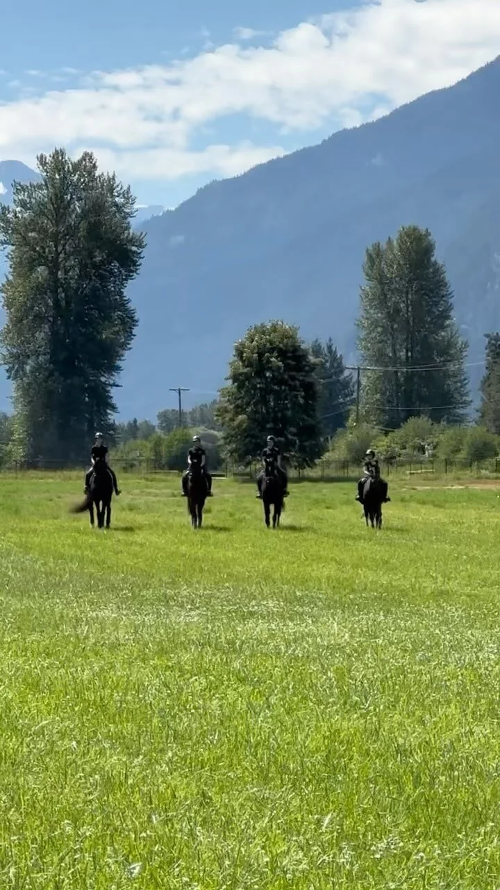 Dreamcatcher Meadows