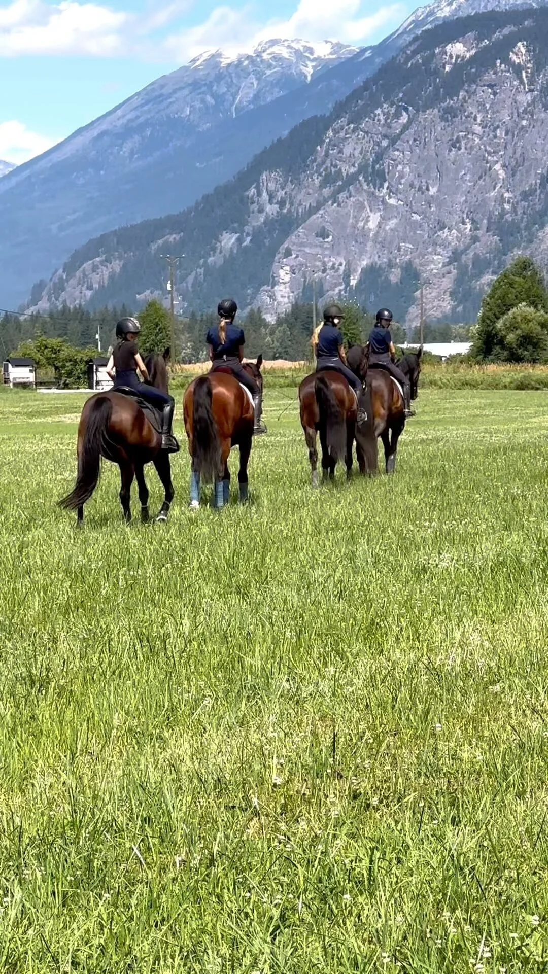 Dreamcatcher Meadows