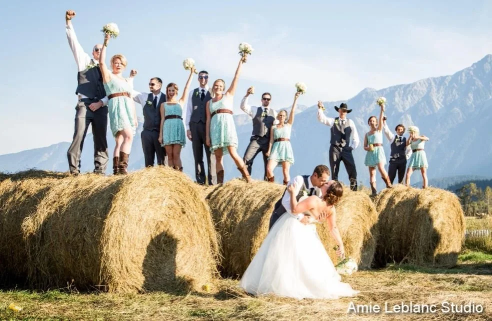 Dreamcatcher Meadows