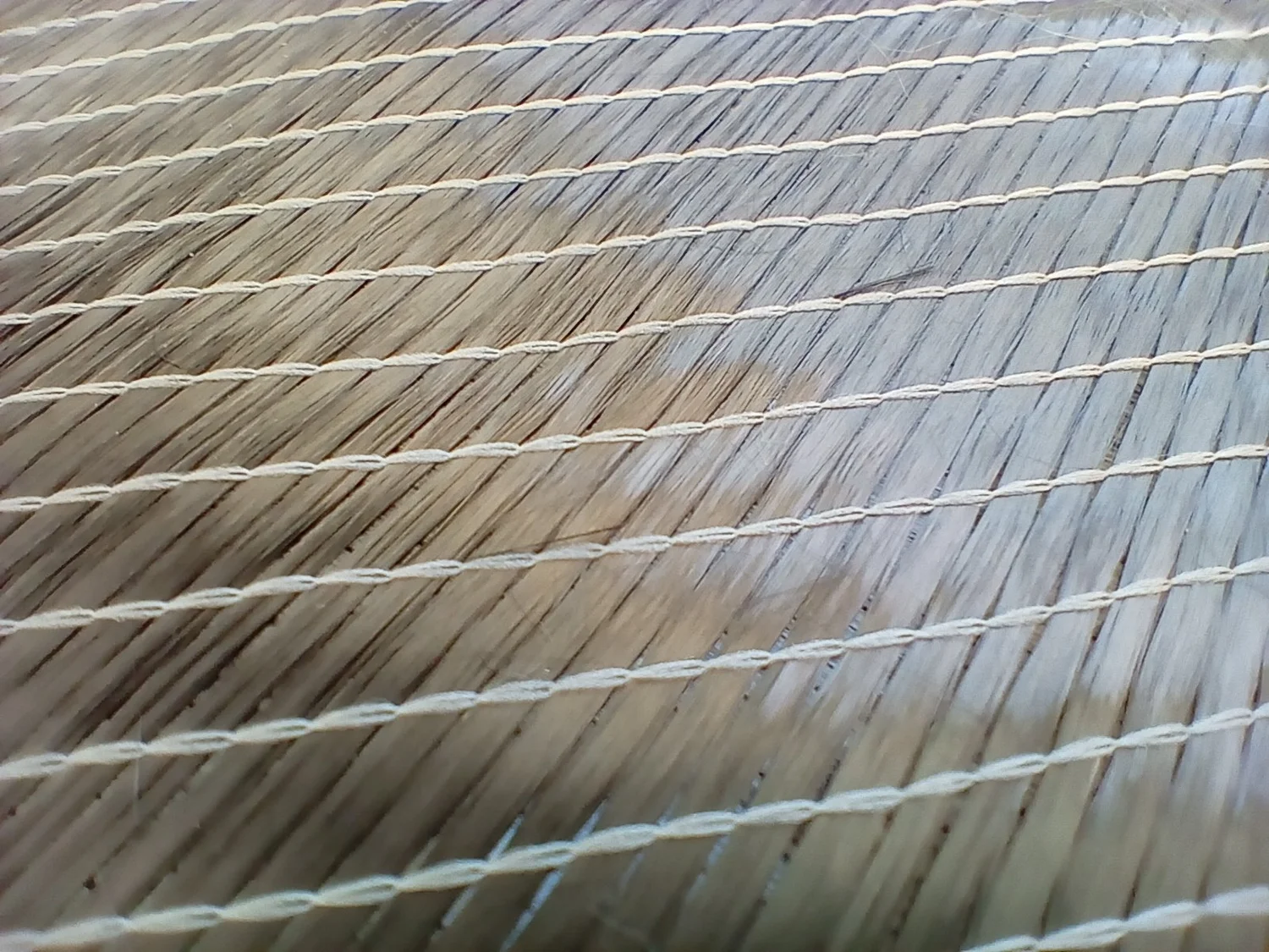 Kayaks — Flow Kayaks