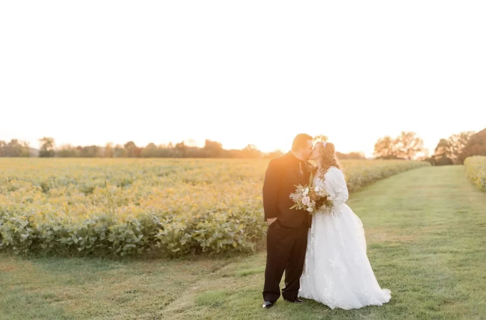 Gallery 3 — Osbornia Farm
