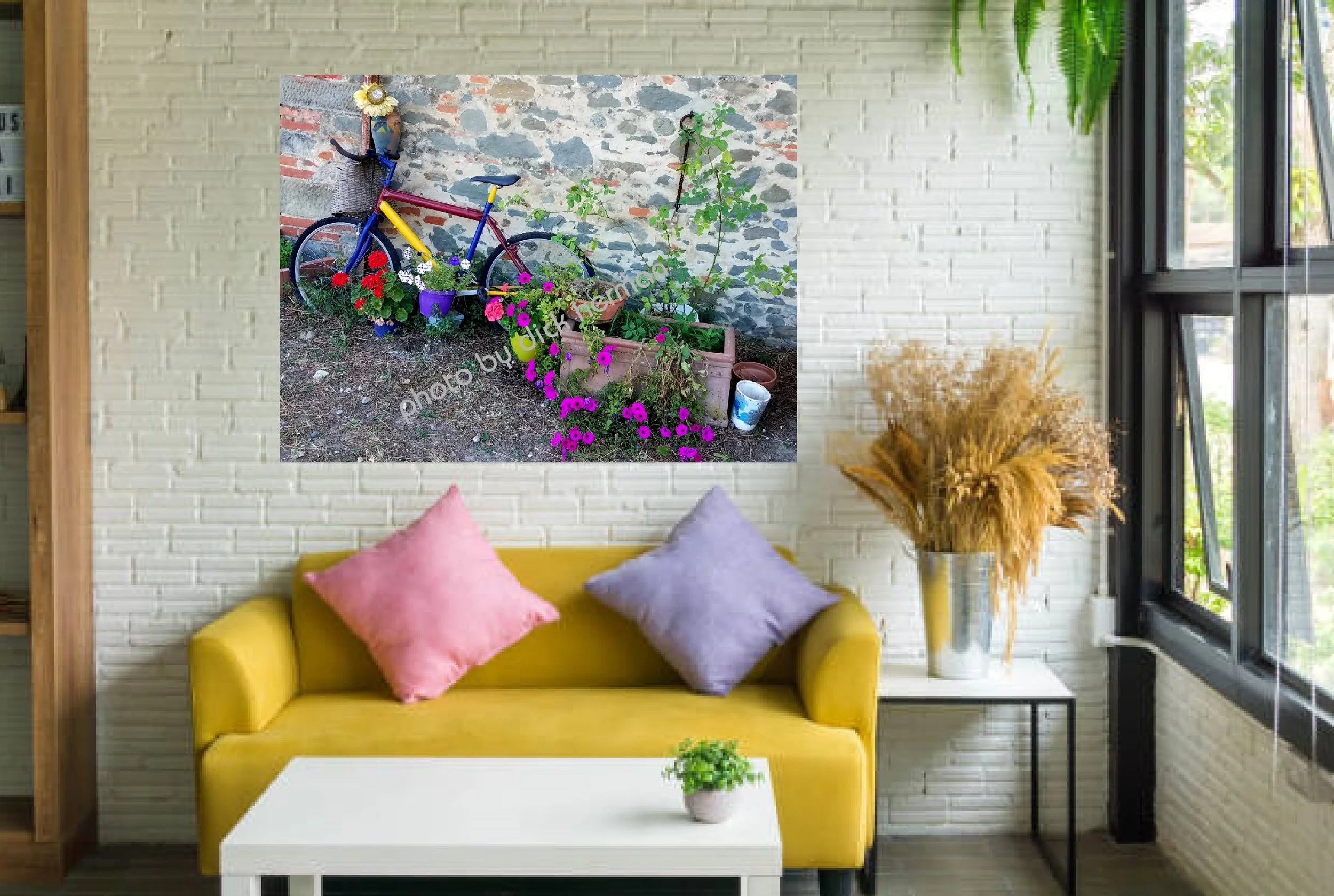 Bicycle Photographs — Dick Herman Photography