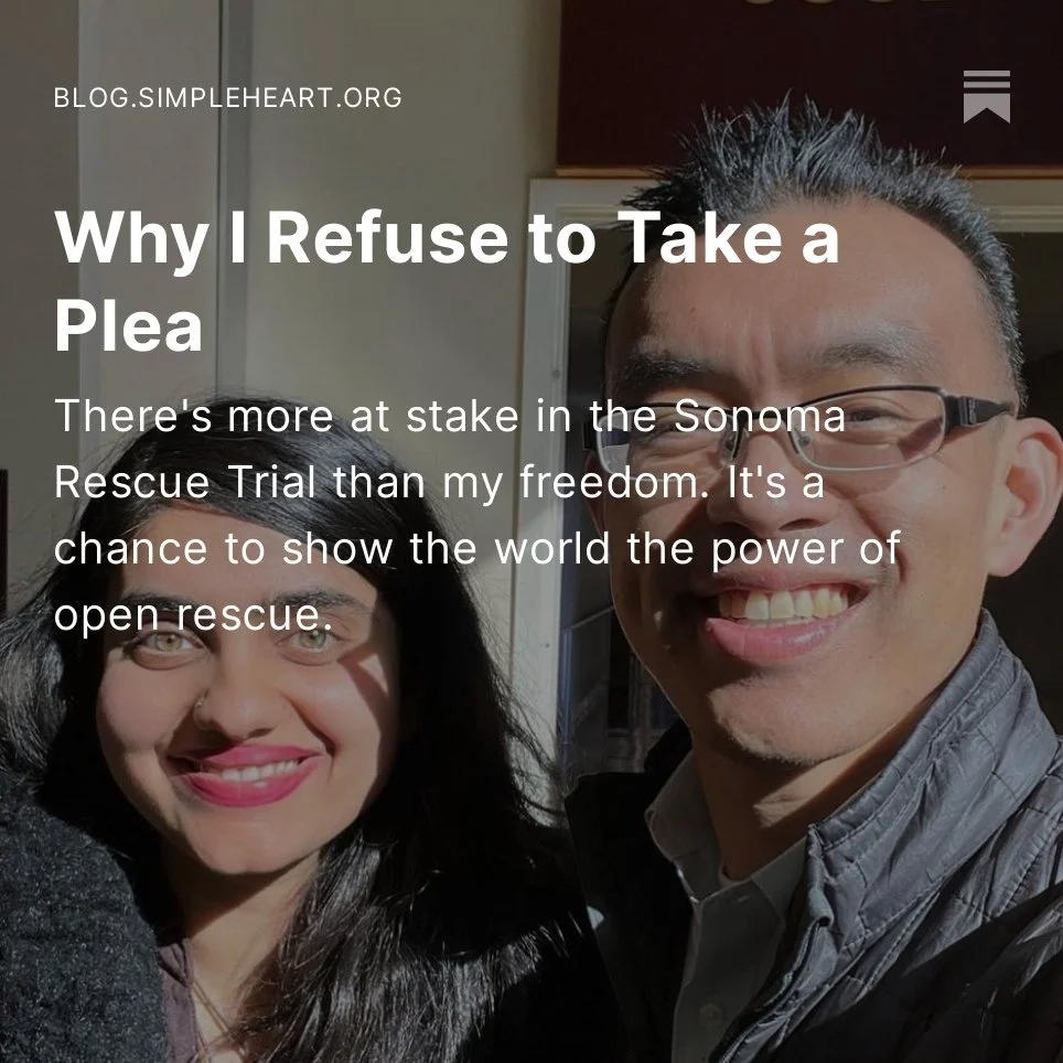 Wayne Hsiung: lawyer and animal rights activist