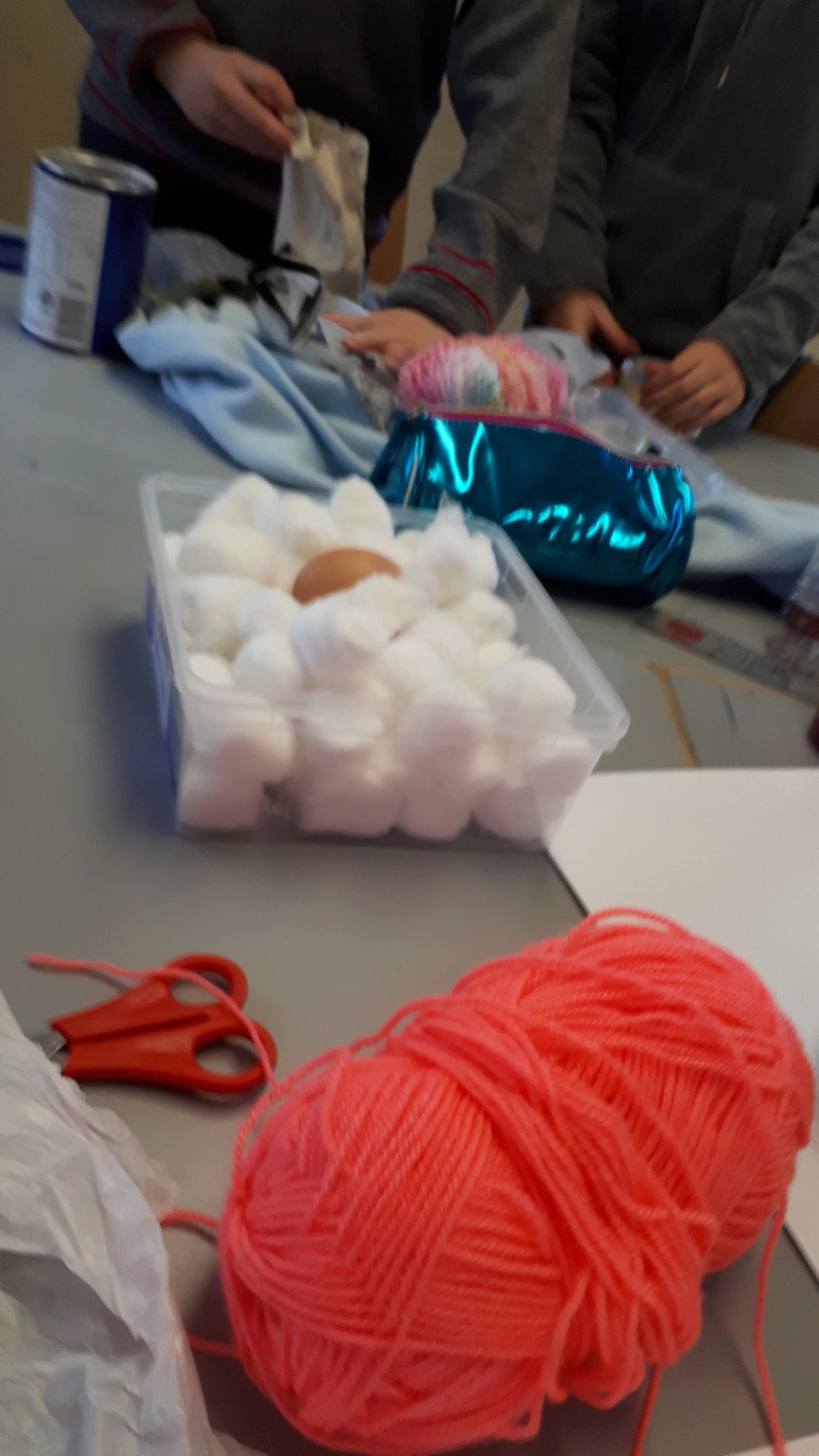 Egg Drop Challenge — SCOIL CHLOCHAIR MHUIRE
