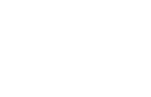 Work — Blaze Partners