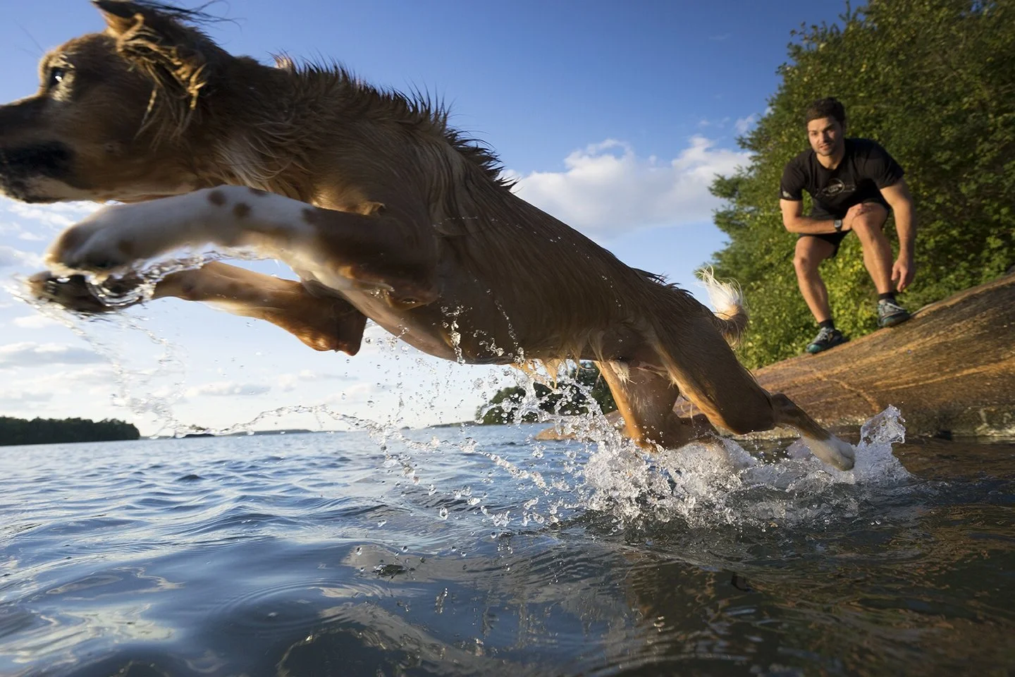 Work — Blaze Partners