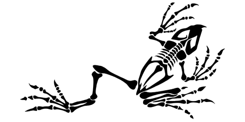 About — Bone Frog Open