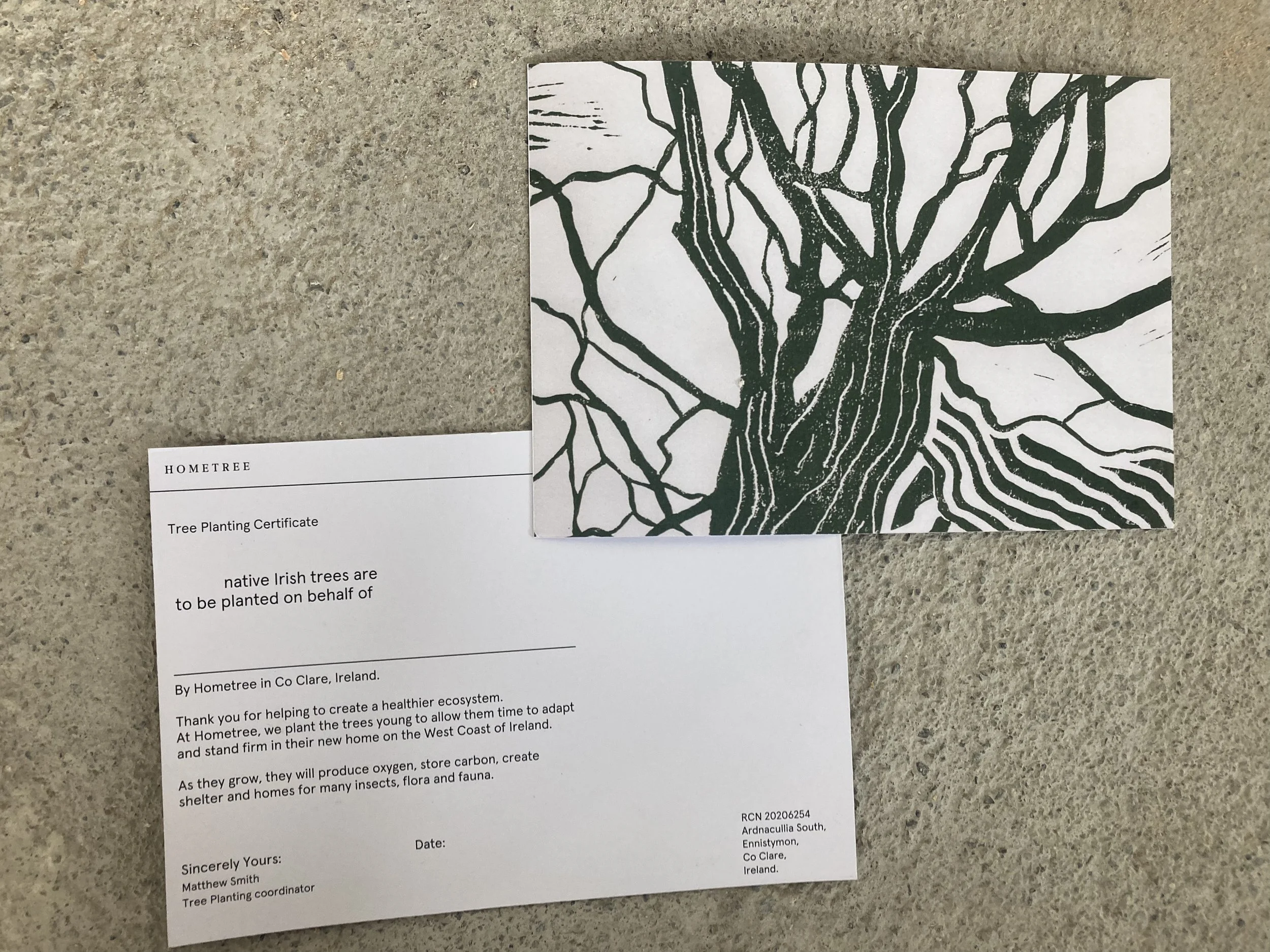 Support — Hometree