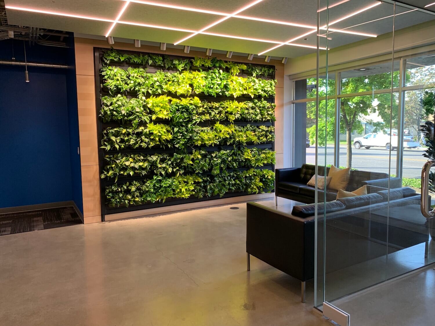 OEG | Oregon Electric Group, Inc. — Pacific Crest Structures