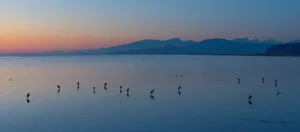 Pauquachin First Nation