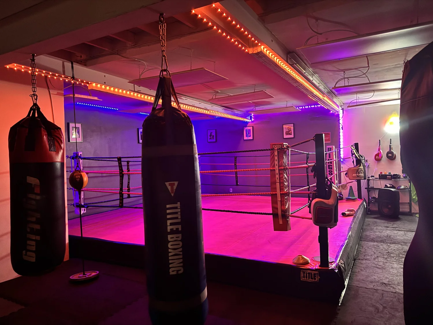 Champions World Boxing - Oakland Park Florida | Join the Fight Today
