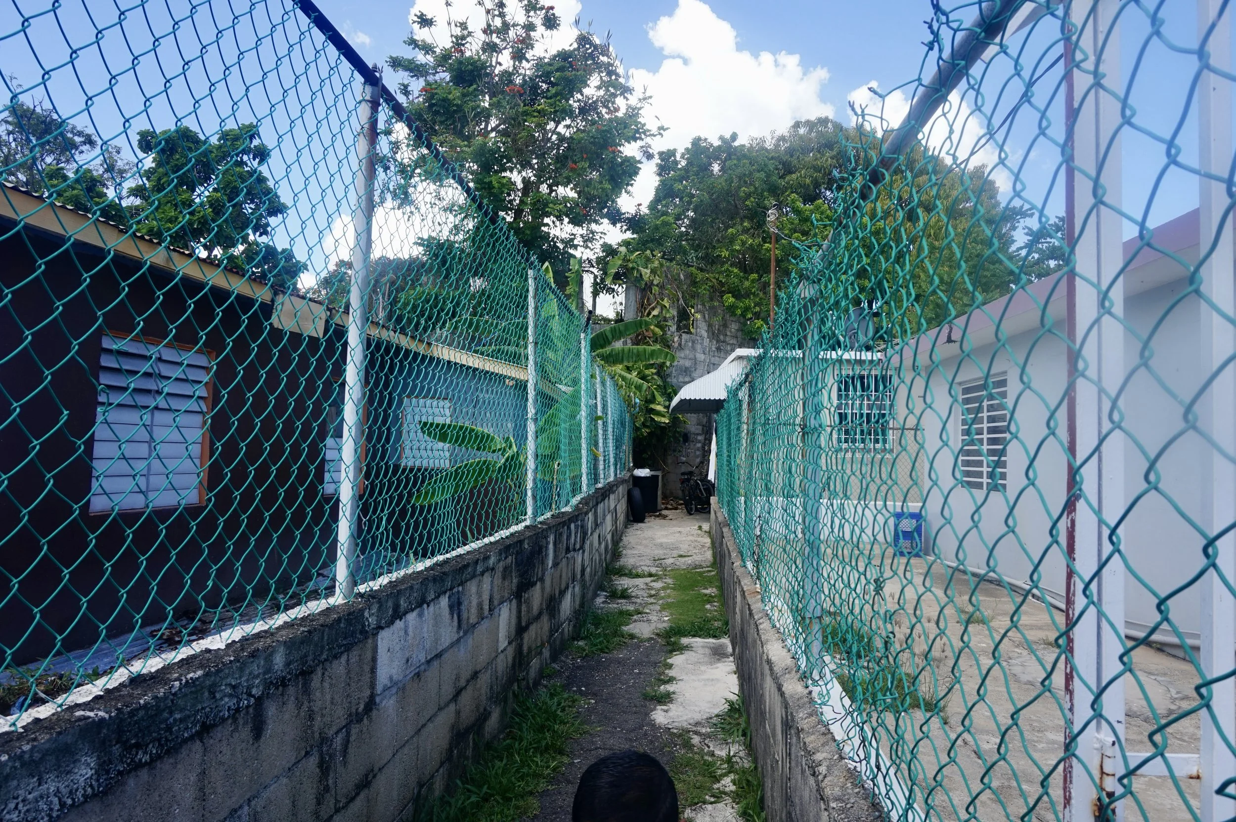 Lo Que Es Pasado Nunca Vuelve: A Journey Back To Puerto Rico Before ...