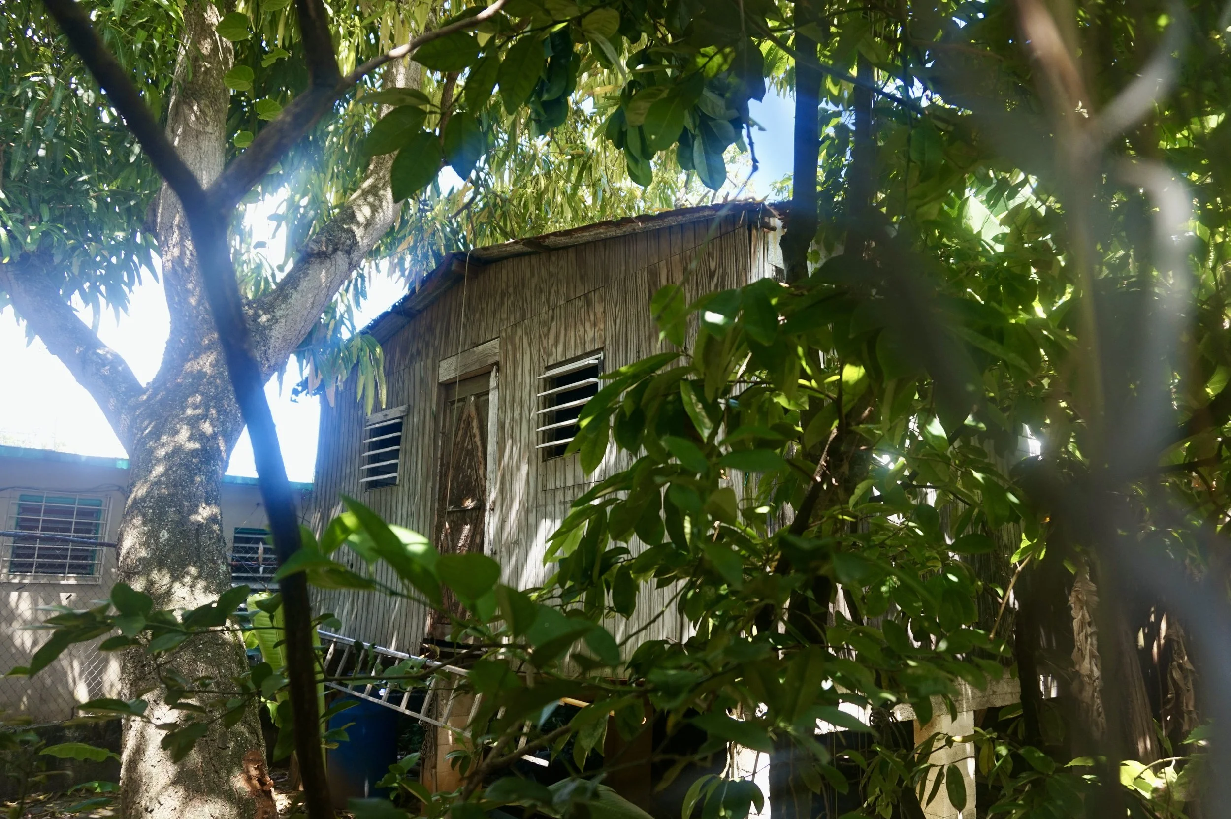 Lo Que Es Pasado Nunca Vuelve: A Journey Back To Puerto Rico Before ...